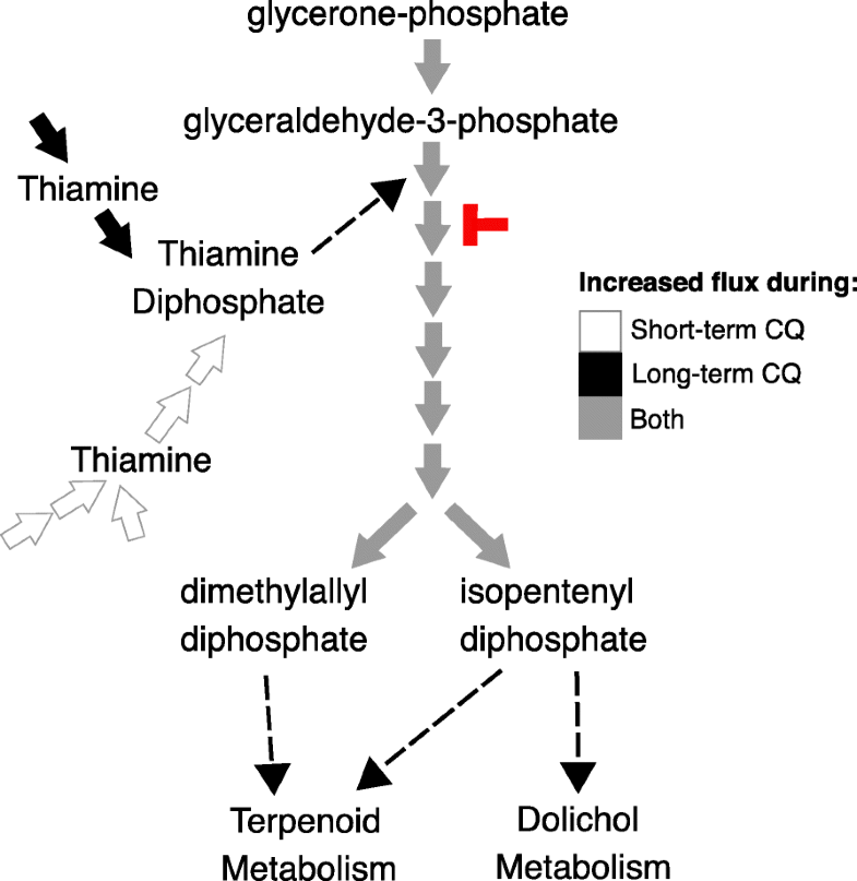 Leveraging the effects of chloroquine on resistant malaria parasites ...