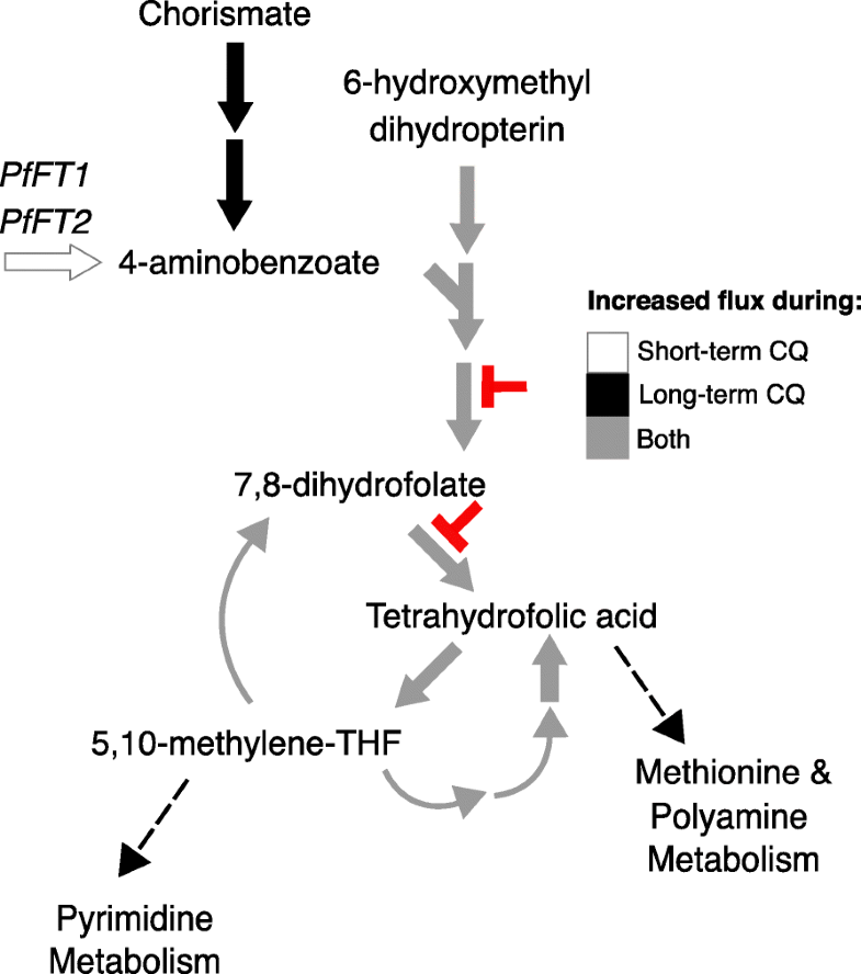 Leveraging the effects of chloroquine on resistant malaria parasites ...