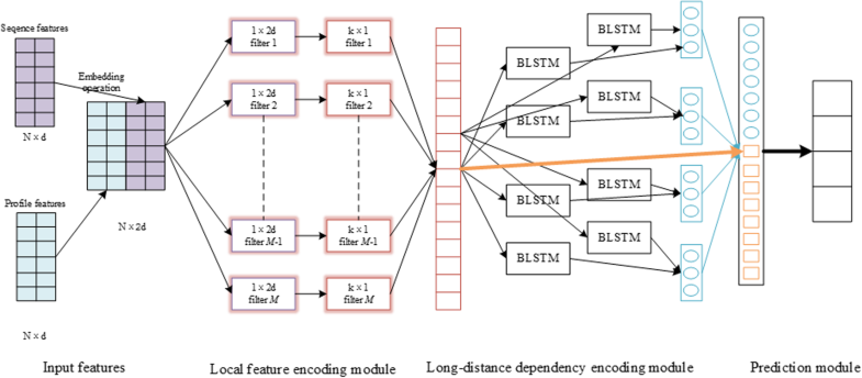 DeepACLSTM: deep asymmetric convolutional long short-term memory neural models for protein ...