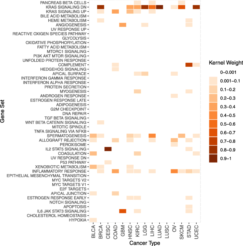 Multiple-kernel learning for genomic data mining and prediction | SpringerLink