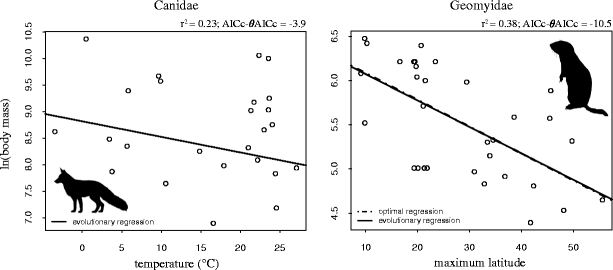 An interspecific assessment of Bergmann’s rule in 22 mammalian families | BMC Evolutionary ...