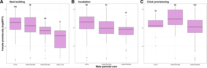 Evolution of female promiscuity in Passerides songbirds | SpringerLink