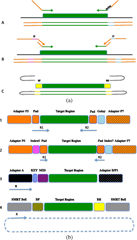 A comprehensive benchmarking study of protocols and sequencing ...