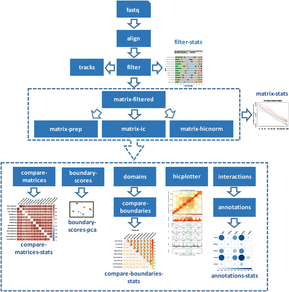 HiC-bench: comprehensive and reproducible Hi-C data analysis designed for parameter exploration ...