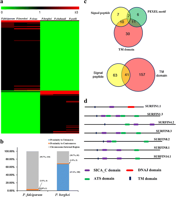 In-depth comparative analysis of malaria parasite genomes reveals protein-coding genes linked to ...