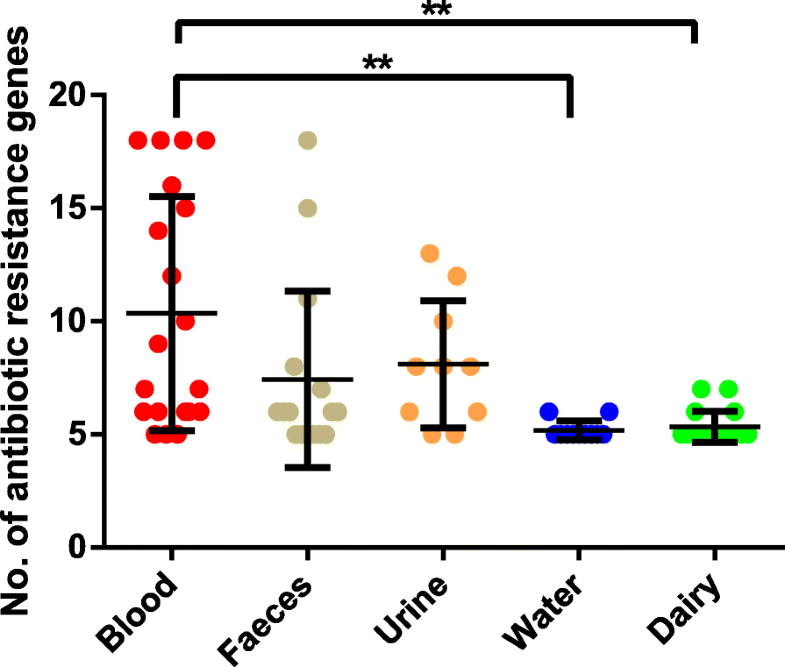 Comparative genomic analysis of Enterococcus faecalis: insights into ...