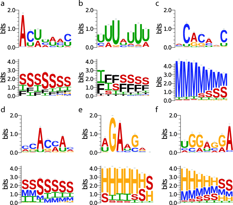 Prediction Of Rna Protein Sequence And Structure Binding Preferences Using Deep Convolutional