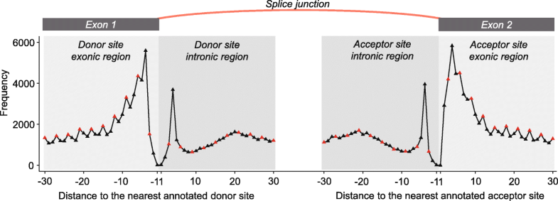 Discerning novel splice junctions derived from RNA-seq alignment: a deep learning approach | BMC ...