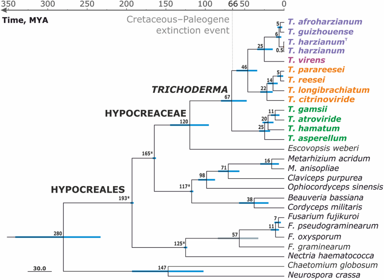 Evolution and comparative genomics of the most common Trichoderma ...