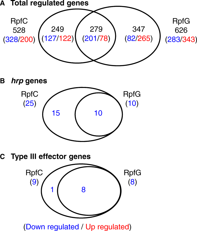 RpfC regulates the expression of the key regulator hrpX of the hrp/T3SS ...