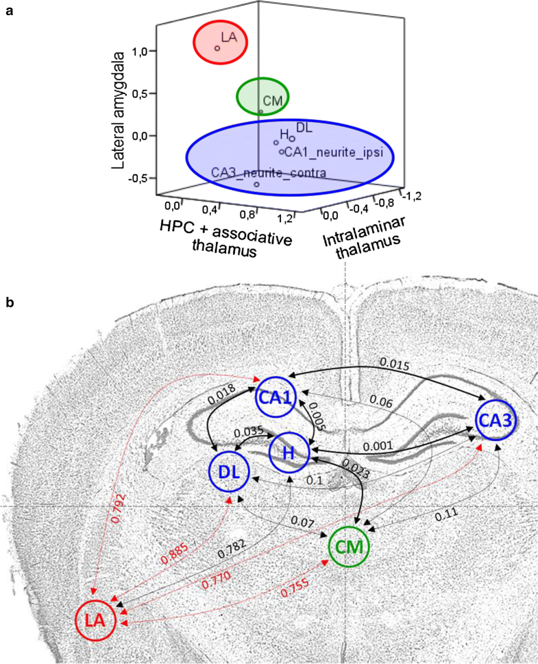 Arc protein expression after unilateral intracranial self-stimulation ...