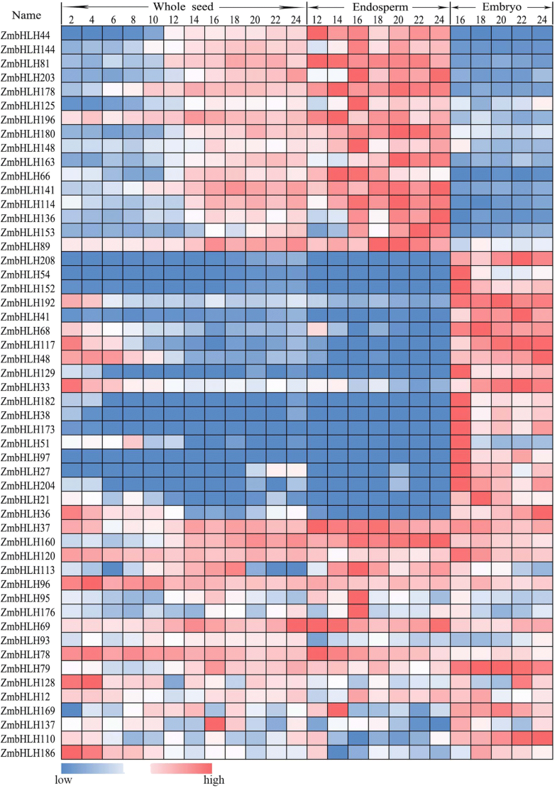 Genome-wide analysis of the basic Helix-Loop-Helix (bHLH) transcription ...