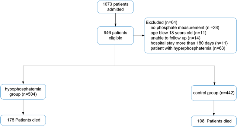 Impact of hypophosphatemia on outcome of patients in intensive care ...