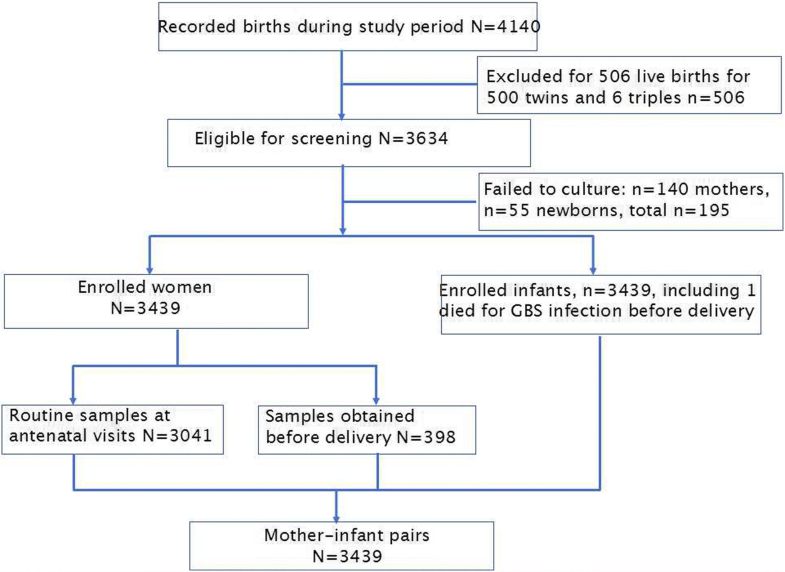 Group B streptococcal colonization in mothers and infants in western ...