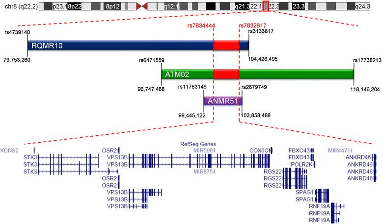 Novel VPS13B Mutations in Three Large Pakistani Cohen Syndrome Families ...