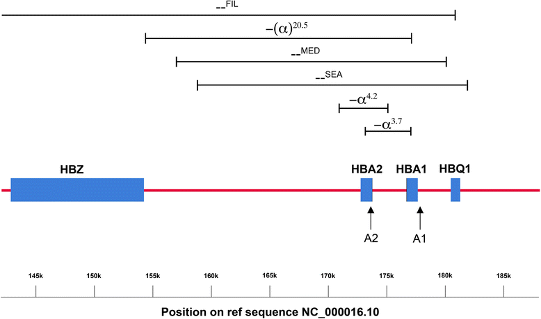 Development and validation of a high throughput, closed tube method for ...