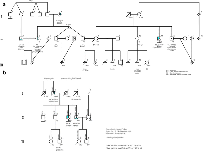 f-treeGC: a questionnaire-based family tree-creation software for ...