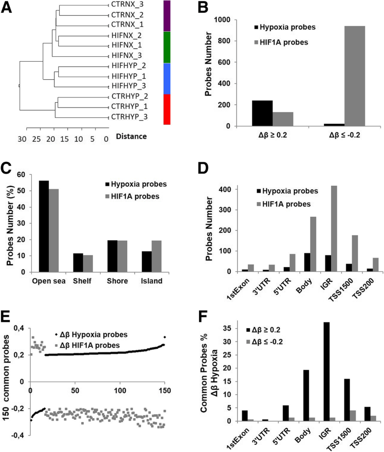 HIF-1 transcription activity: HIF1A driven response in normoxia and in ...