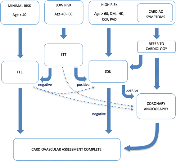 Assessing cardiovascular risk in chronic kidney disease patients prior ...