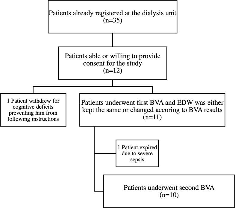 Blood volume analysis as a guide for dry weight determination in ...