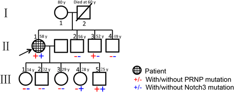 Fatal familial insomnia with abnormal signals on routine MRI: a case ...