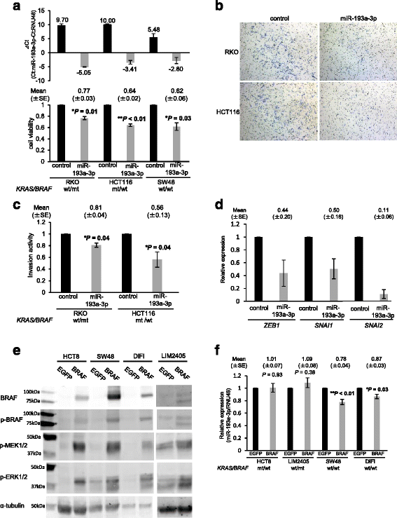 microRNA-193a-3p is specifically down-regulated and acts as a tumor ...