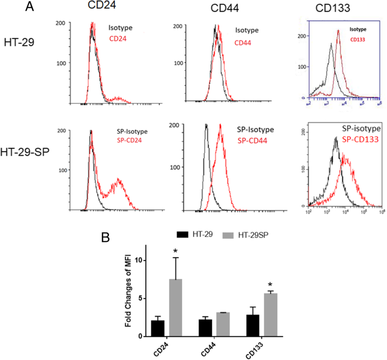 Insluin and epithelial growth factor (EGF) promote programmed death ligand 1(PD-L1) production ...