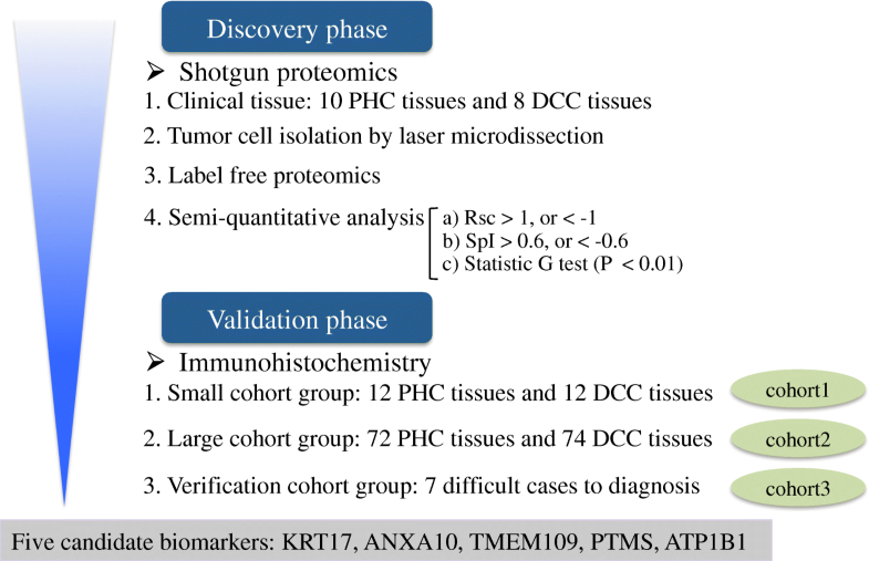 Novel biomarkers distinguishing pancreatic head Cancer from distal cholangiocarcinoma based on ...