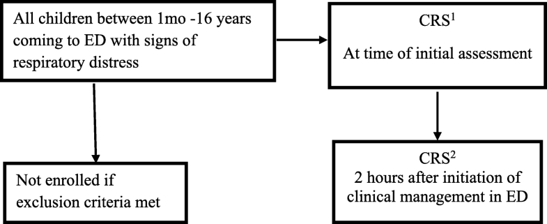 The clinical respiratory score predicts paediatric critical care ...