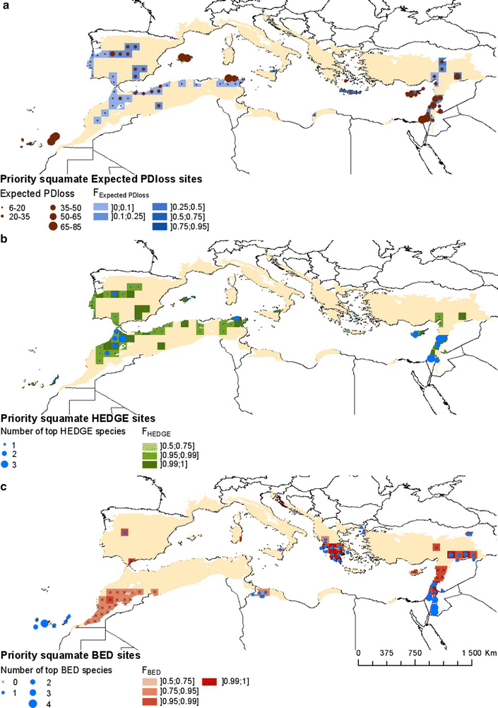 Loss and conservation of evolutionary history in the Mediterranean ...