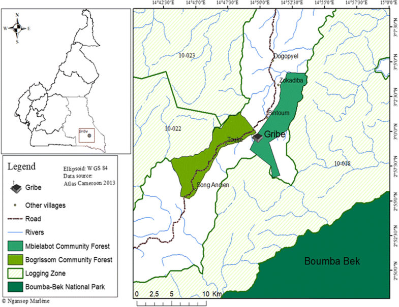 Using transect sampling to determine the distribution of some key non ...
