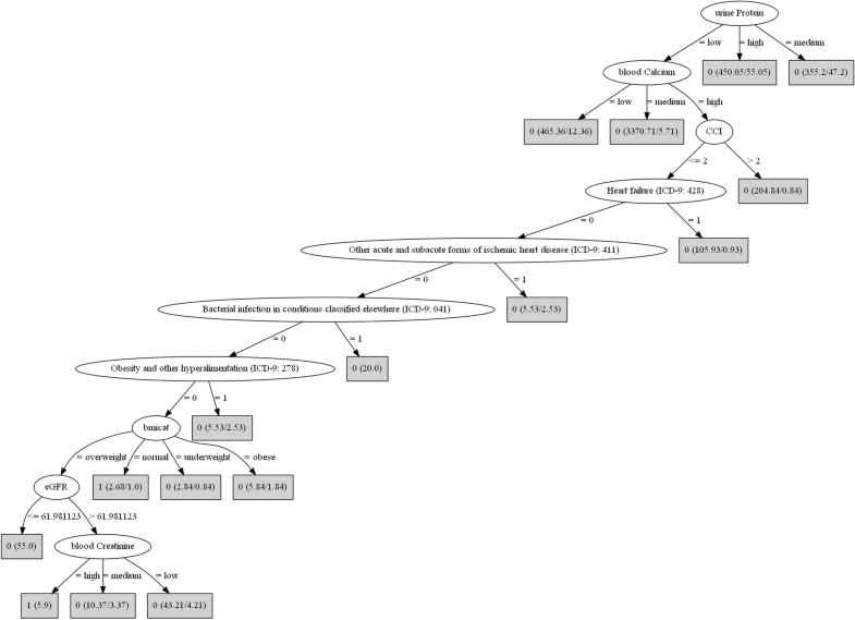 Development of a personalized diagnostic model for kidney stone disease ...