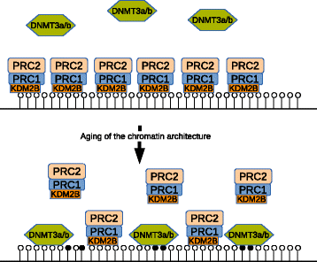 Aging and DNA methylation | BMC Biology | Full Text