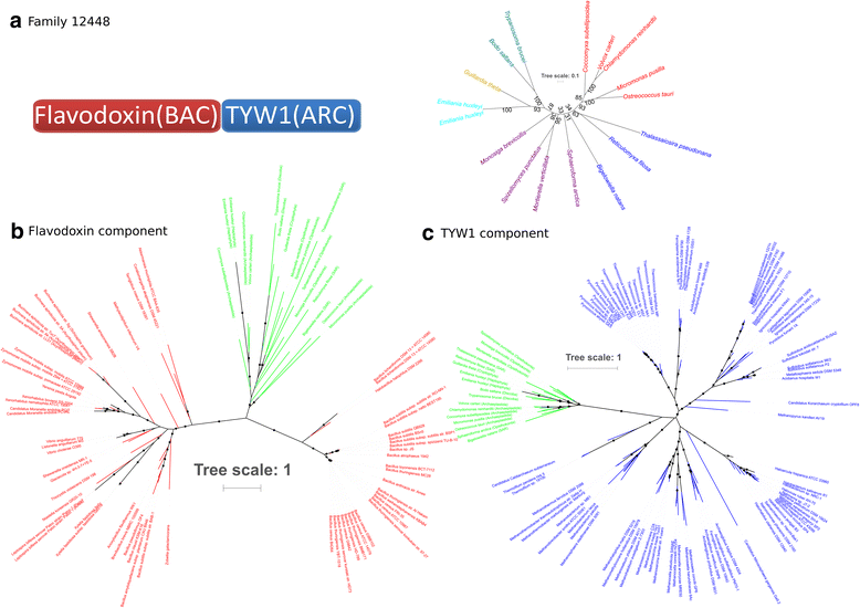 Formation of chimeric genes with essential functions at the origin of ...