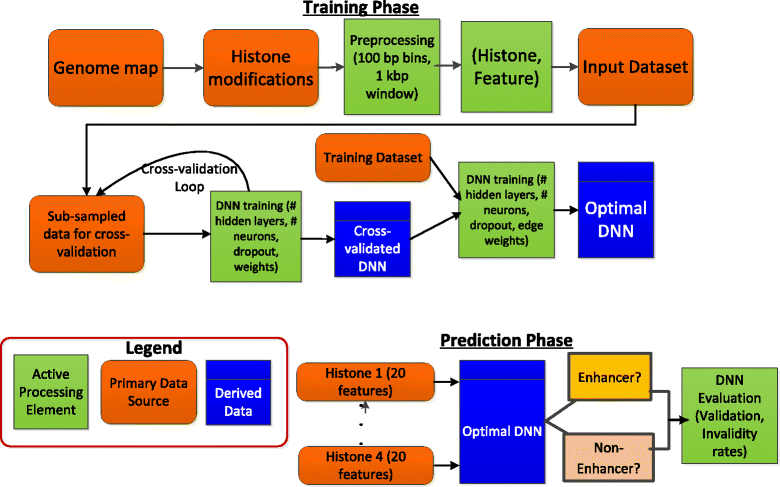 Opening up the blackbox: an interpretable deep neural network-based classifier for cell-type ...