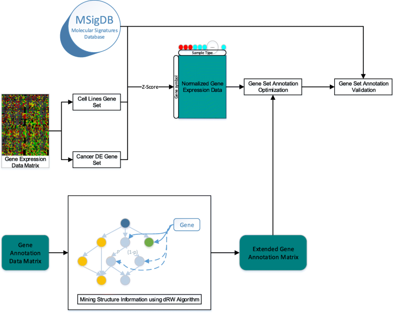 Optimizing gene set annotations combining GO structure and gene ...