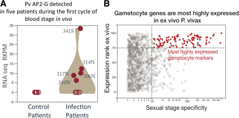 Plasmodium vivax readiness to transmit: implication for malaria ...