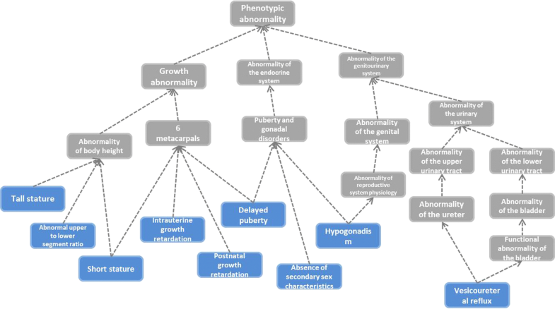 Predicting disease-related phenotypes using an integrated phenotype ...