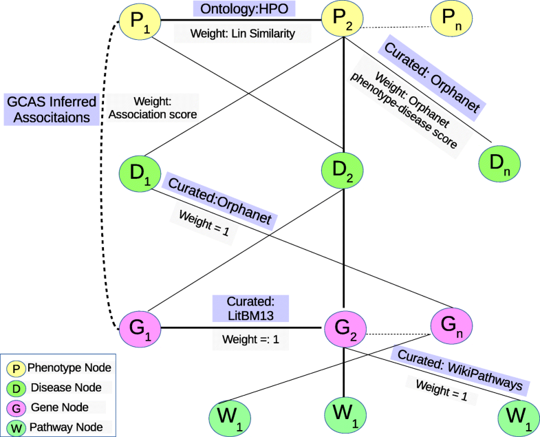 Phenotype-driven gene prioritization for rare diseases using graph ...