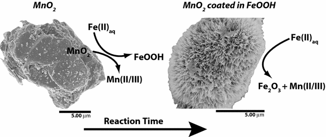 Fe(II) reduction of pyrolusite (β-MnO2) and secondary mineral evolution ...