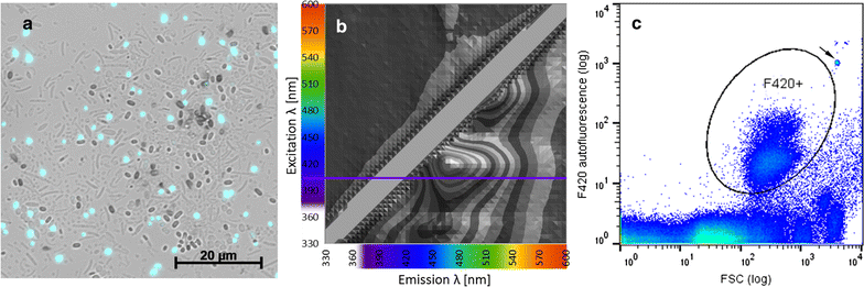 Flow cytometric quantification, sorting and sequencing of methanogenic archaea based on F420 ...