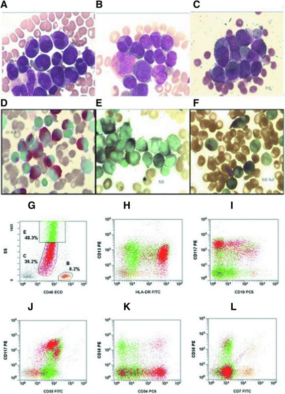 Clinical and laboratory features of seven patients with acute myeloid ...