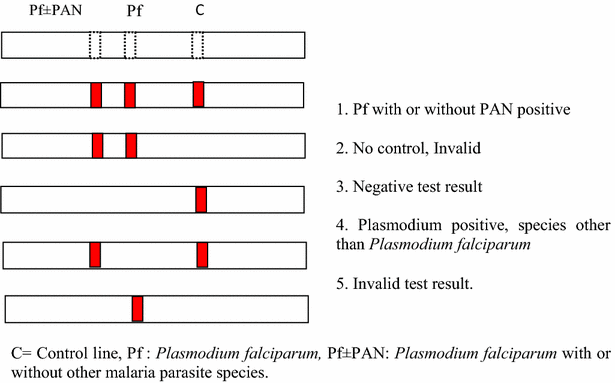 Field evaluation of the 22 rapid diagnostic tests for community ...