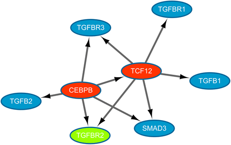 Microarray data analysis to identify crucial genes regulated by CEBPB ...