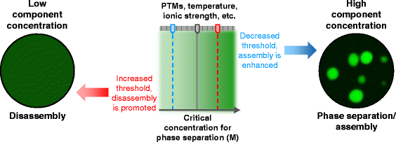 Phase separation in biology; functional organization of a higher order ...