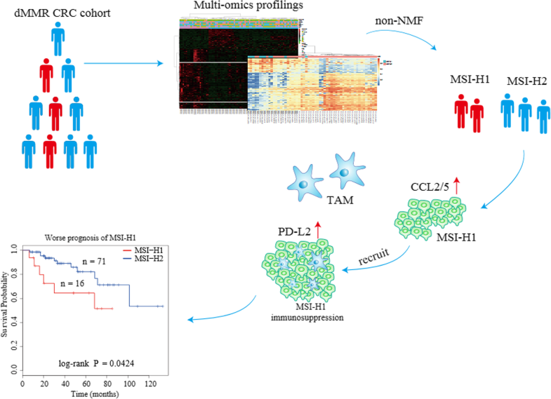 Subtyping of microsatellite instability-high colorectal cancer ...