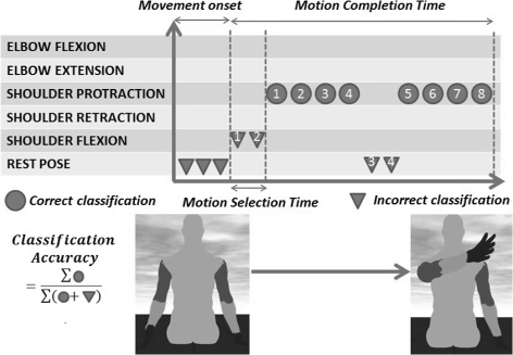 Role of Muscle Synergies in Real-Time Classification of Upper Limb ...