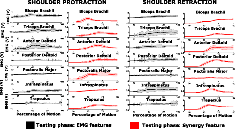 Role of Muscle Synergies in Real-Time Classification of Upper Limb ...
