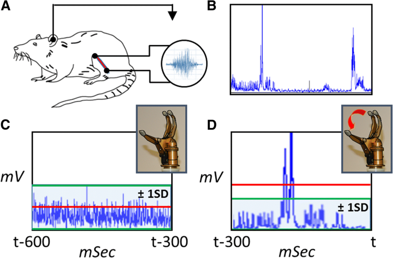 Regenerative peripheral nerve interfaces for real-time, proportional ...