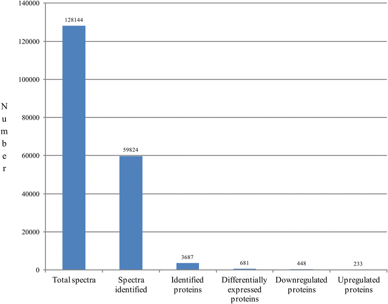 iTRAQ-based quantitative proteomics analysis of rice leaves infected by Rice stripe virus ...